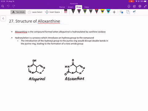 SOLVED:Xanthine oxidase treated with allopurinol results in the ...