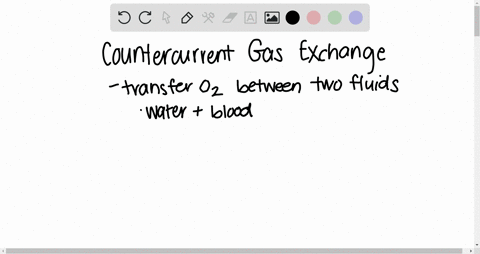 SOLVED:Countercurrent gas exchange in the gills of a fish a. maintains ...