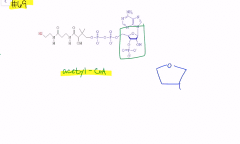 SOLVED:(a) Draw D-idose in its pyranose form, showing the more stable ...
