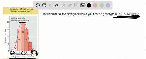Solutions for Introduction to Genetic Analysis 11th by Anthony J. F ...