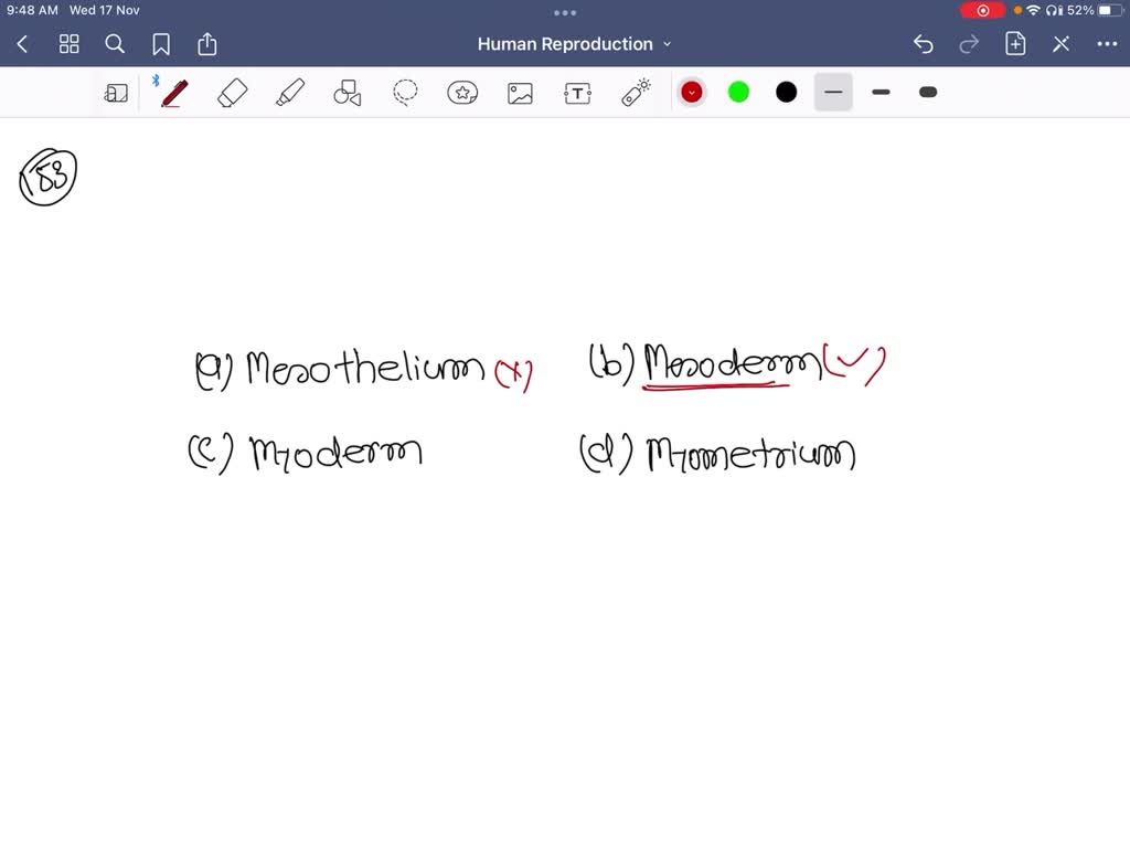 SOLVED:In human embryonic development, which layer develops between the ...