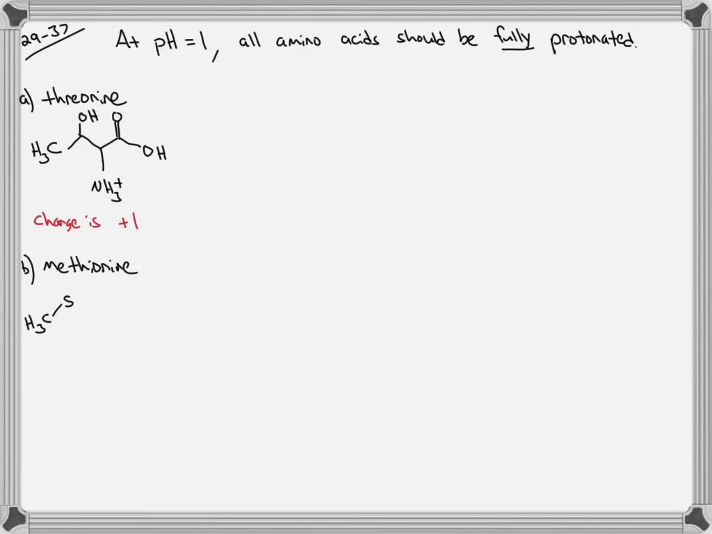 SOLVED What Is The Predominant Form Of Each Of The Following Amino 