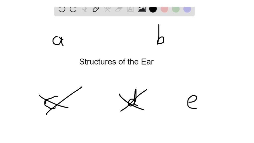 SOLVED:Distinguish between the terms in each of the following sets ... SOLVED:Distinguish between the terms in each of the following sets ...