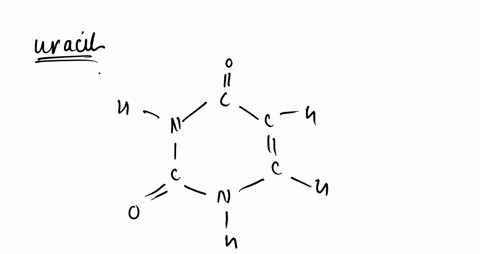 SOLVED:The uracil molecule is one of the bases in DNA. Estimate the ...