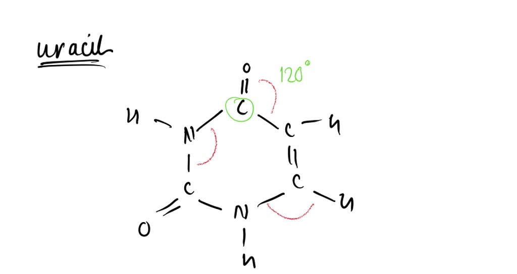 SOLVED:The uracil molecule is one of the bases in DNA. Estimate the ...