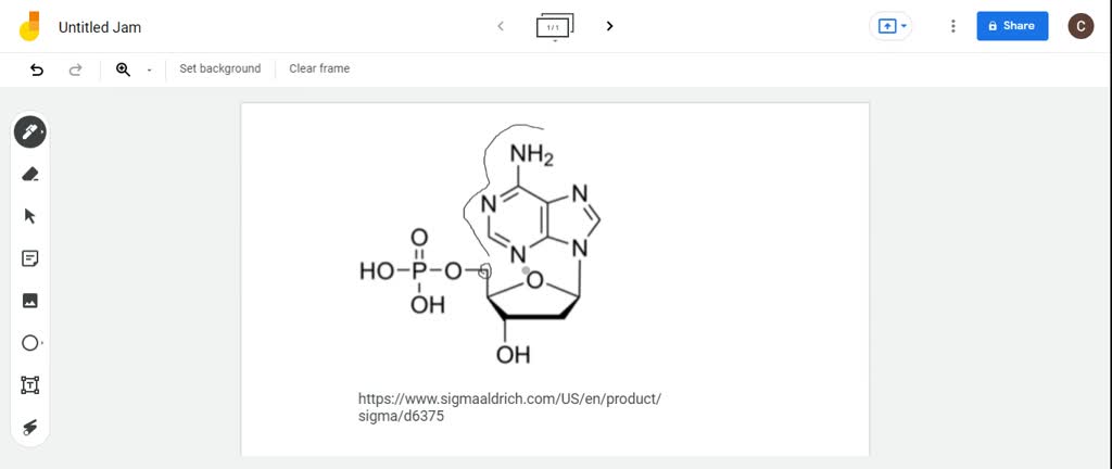 SOLVED:Draw a structural formula for each nucleotide. (a) 2^'-Deoxythymidine 5^'-monophosphate ...