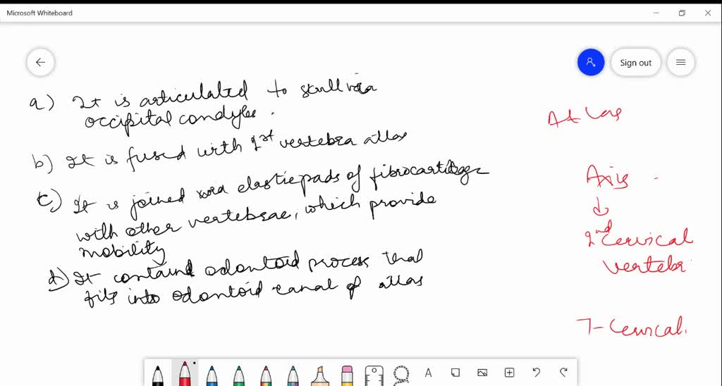 SOLVED:When you rotate your head to look to one side, (a) the atlas ...