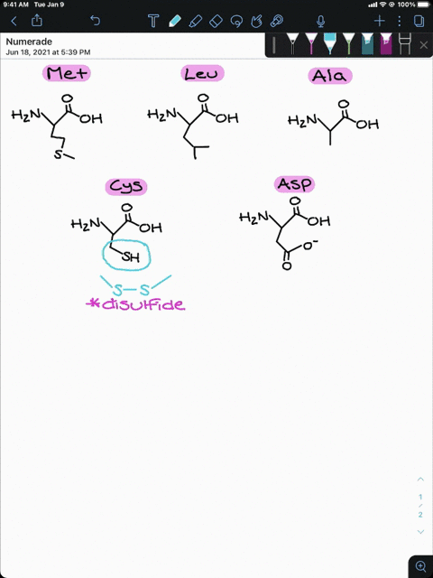 A portion of a polypeptide chain contains the following sequence of ...