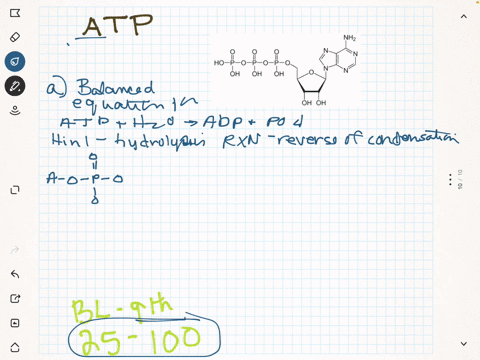 SOLVED:One of the most important molecules in biochemical systems is ...