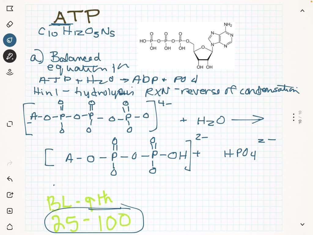 In terms of hydrolysis, what is the relationship between ATP and ADP ...