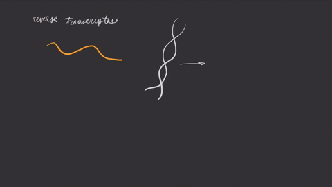 ⏩SOLVED:The drug Hivid, also called ddC, inhibits DNA synthesis. It ...
