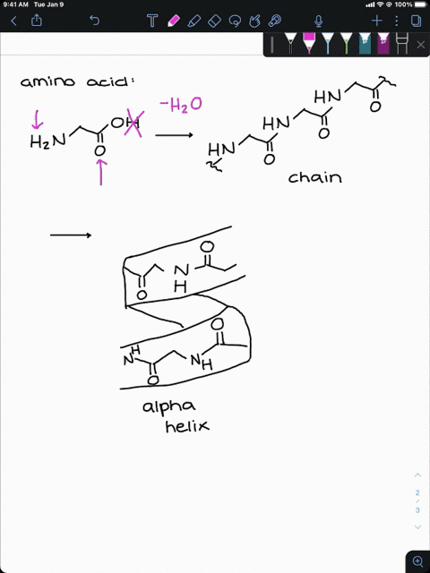 SOLVED:In an \alpha helix, how does hydrogen bonding occur between the ...