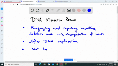 ⏩SOLVED:How do excision repair and mismatch repair differ? | Numerade