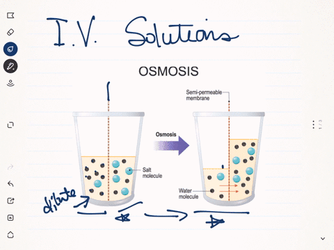 SOLVED:Different types of injection cause solutions to be absorbed at ...