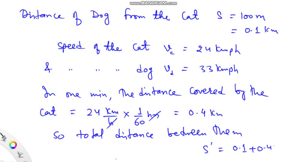 SOLVED:A dog starts chasing to a cat 2 hours later. It takes 2 hours to ...