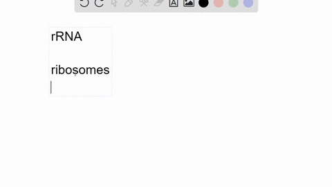 SOLVED:Which type of RNA has a sequence exactly complementary to that of DNA?
