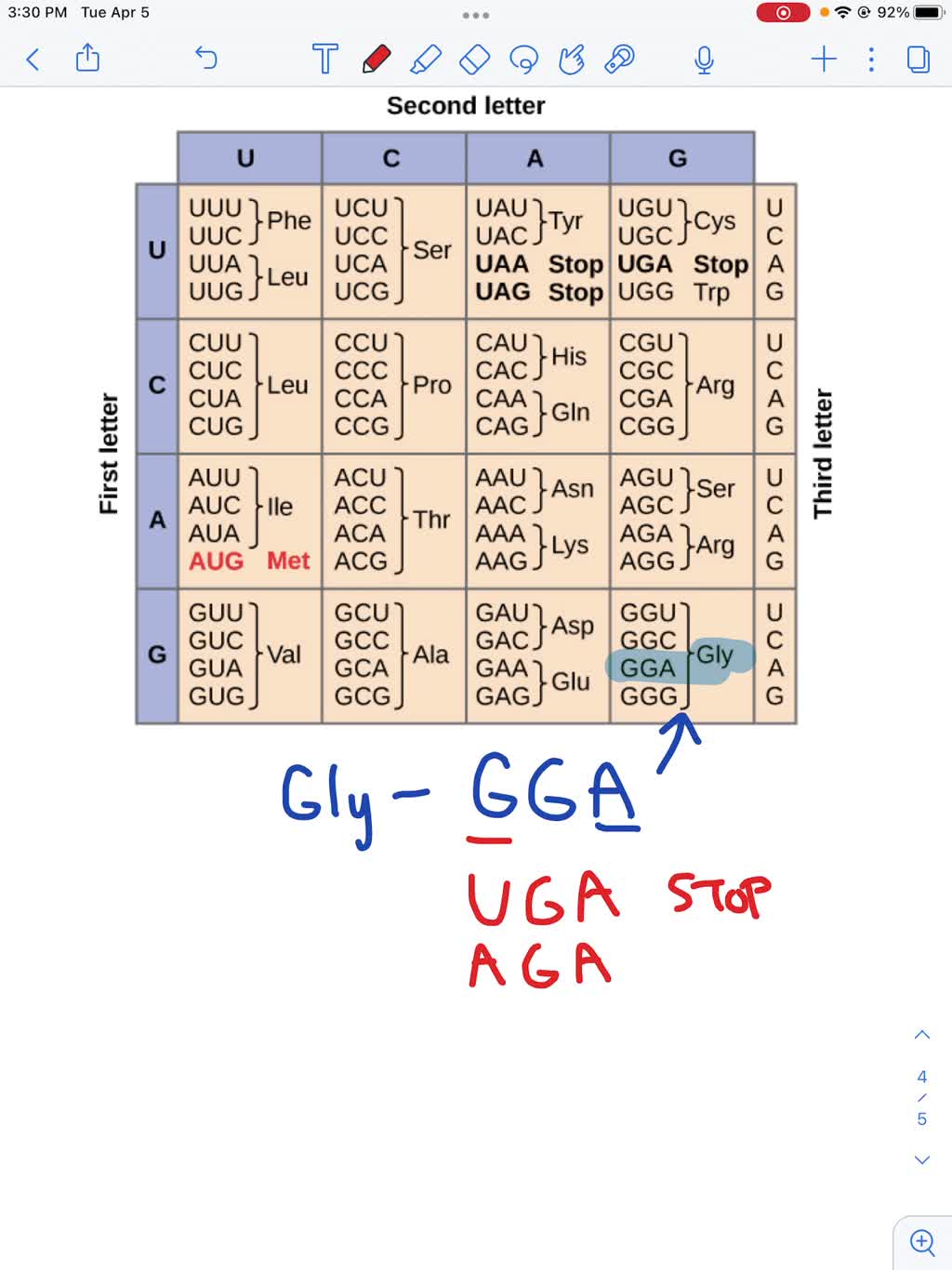 SOLVED:A glycine residue exists at position 210 of the tryptophan ...