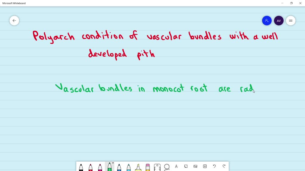 SOLVED:Which plant part possesses polyarch condition of vascular ...