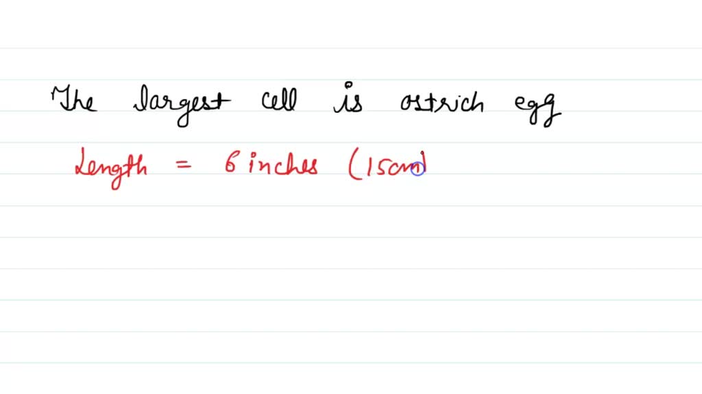 SOLVED: is the largest cell.