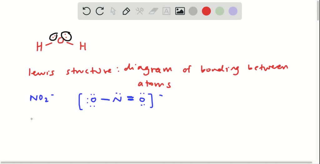 SOLVED:Use an example to illustrate each of the following terms: lone ...