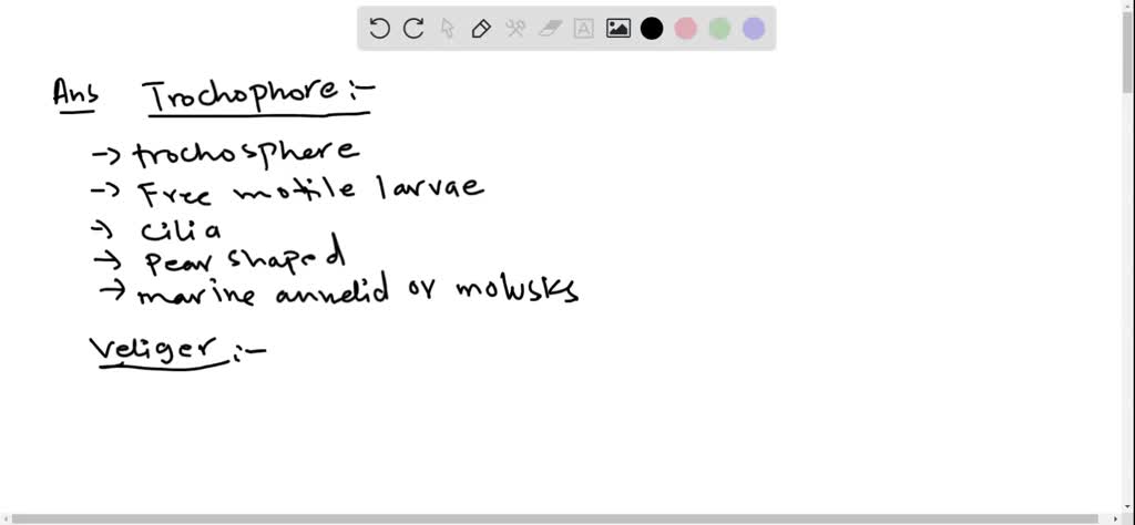 SOLVED:What is leucovorin rescue, and when is it used?