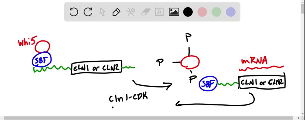 SOLVED:The GAS can be divided into three phases: (1) the alarm phase ...
