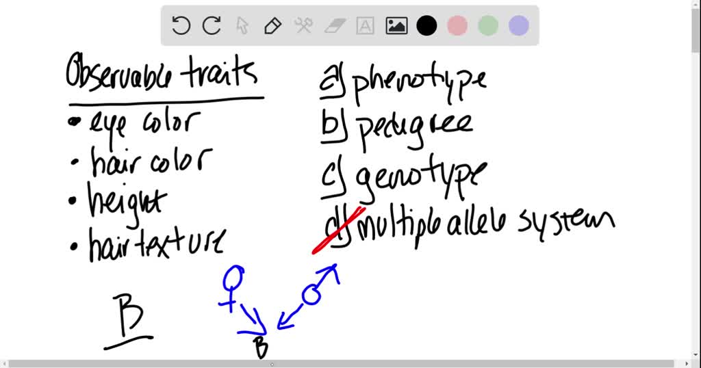 ⏩SOLVED:The observable traits of an organism are its . a. phenotype ...