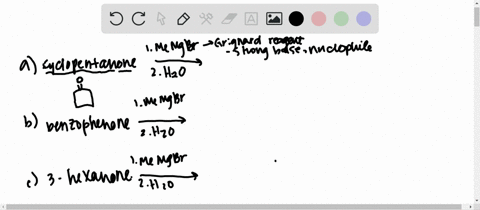 SOLVED:Show the products obtained from addition of methylmagnesium ...