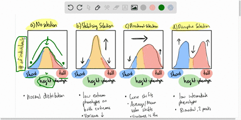 Balancing Selection Graph