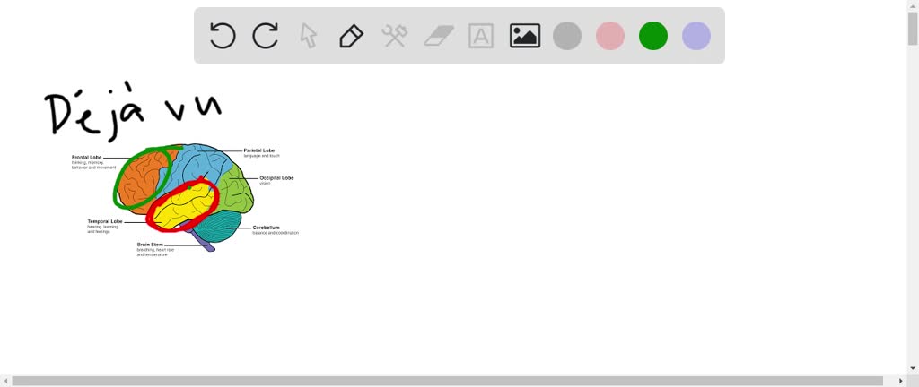 SOLVED:Follow the tests in the appropriate flowchart to identify your ...