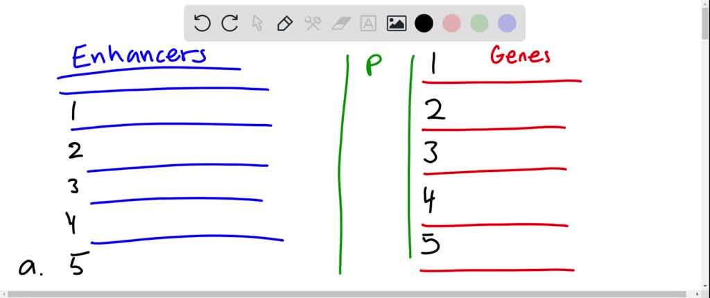 The diagram below shows five genes, including their enhancers, from the ...