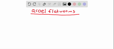 SOLVED:Acoel flatworms a. are closely related to other flatworms. b ...
