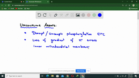 ⏩SOLVED:Uncoupling agents are compounds that prevent ATP synthesis ...