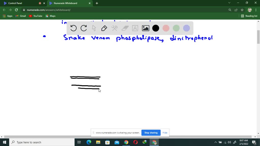 ⏩SOLVED:Uncoupling agents are compounds that prevent ATP synthesis ...