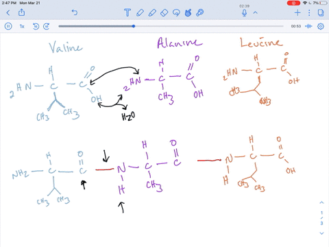 SOLVED:a. Draw the condensed structural formula for Val-Ala-Leu. b ...