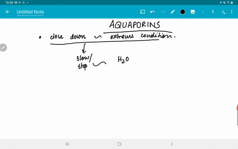 Scientists have found that the quantity of aquaporin molecules inserted ...