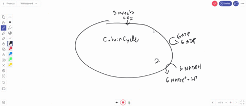 ⏩SOLVED:In the Calvin-Benson cycle, five of the six PGAL molecules ...