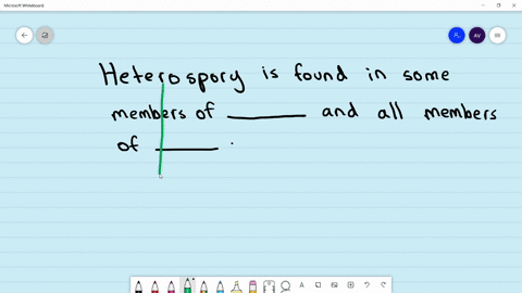 SOLVED:Identify the gymnosperms shown in figure and select the correct ...