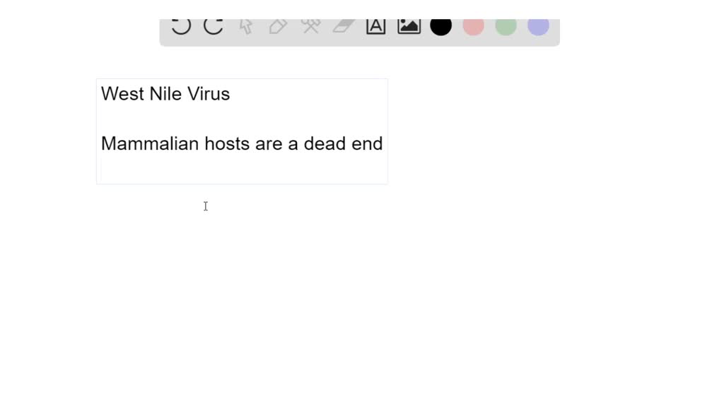 What is a secondary host? How does this apply to strongyles? | Numerade