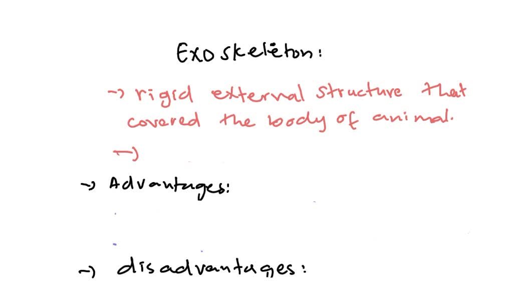 SOLVED:Distinguish among a hydrostatic skeleton, an exoskeleton, and an ...