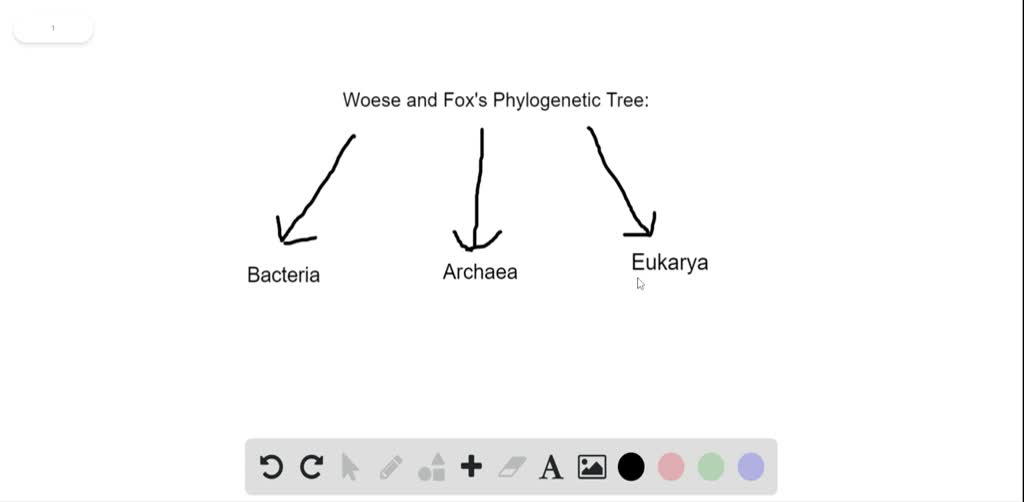 SOLVED: Which of the following is NOT a domain in Woese and Fox's ...