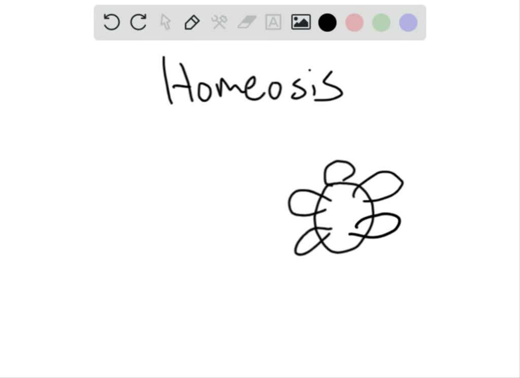 SOLVED:Homeosis a. results from a maintained and unchanging genetic ...