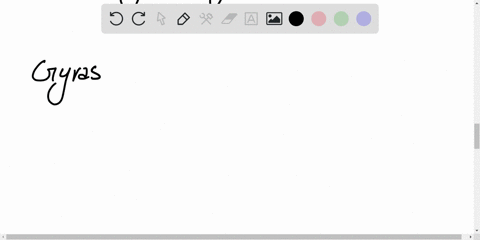Explain why DNA gyrase is required for efficient unwinding of DNA by ...