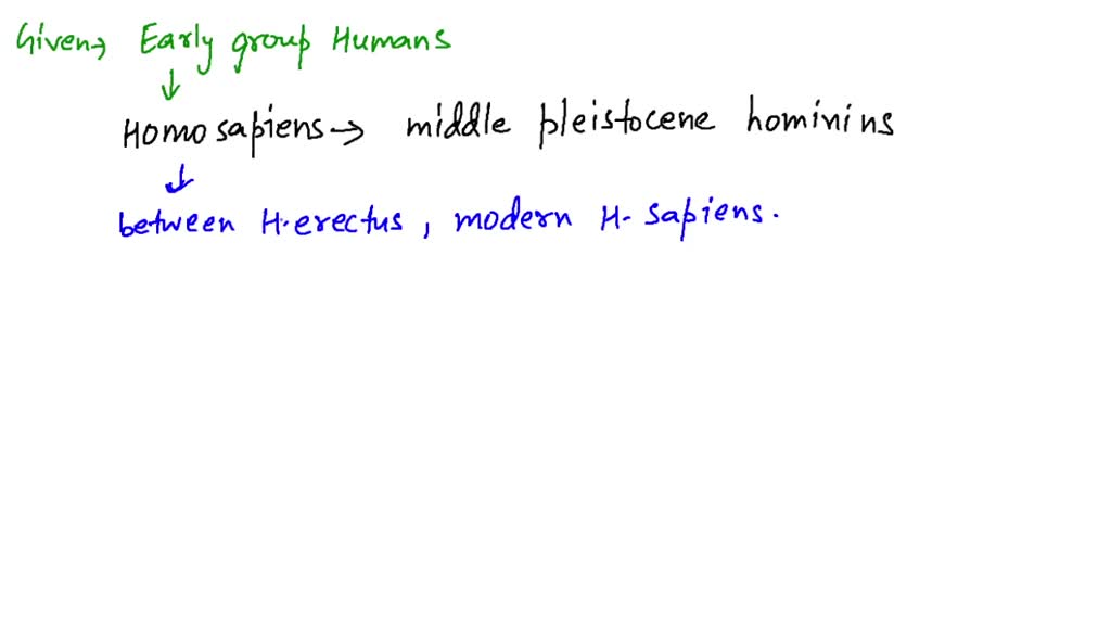 SOLVED:were an early group of humans with short, sturdy builds and ...
