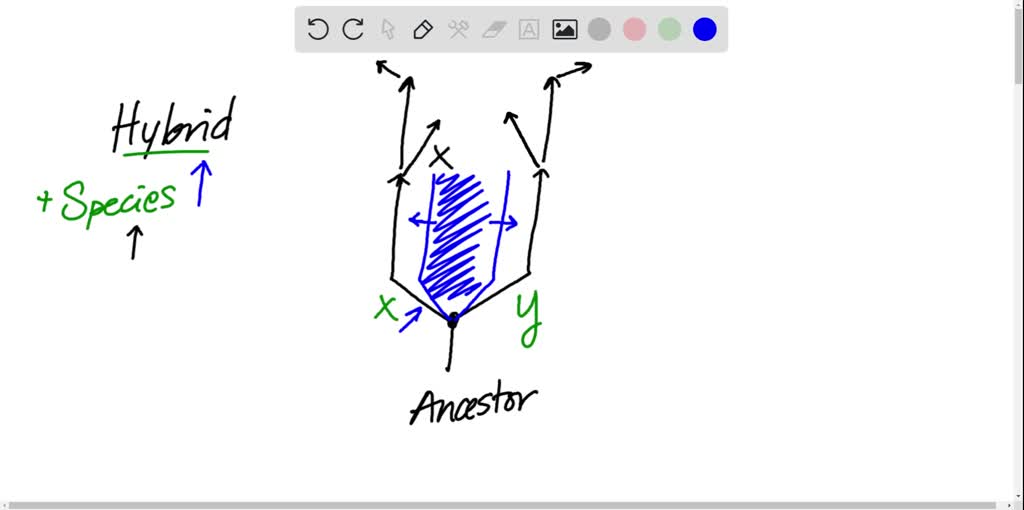 Describe a situation where hybrid reproduction would cause two species ...