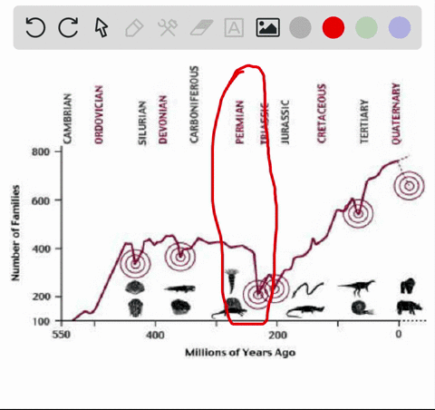 ⏩SOLVED:Five mass extinctions, in which 50 percent or more of… | Numerade