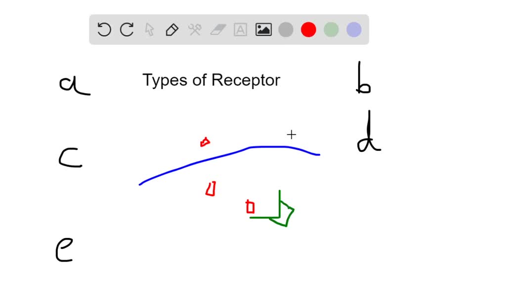 SOLVED:An internal receptor binds both a signal molecule and ...