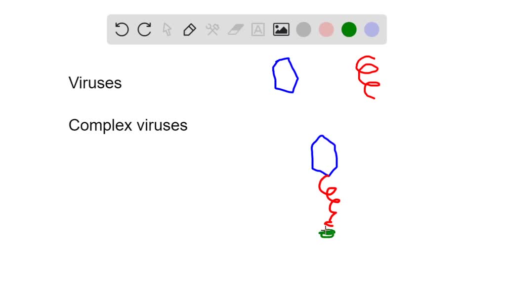 A/an virus possesses characteristics of both a polyhedral and helical ...