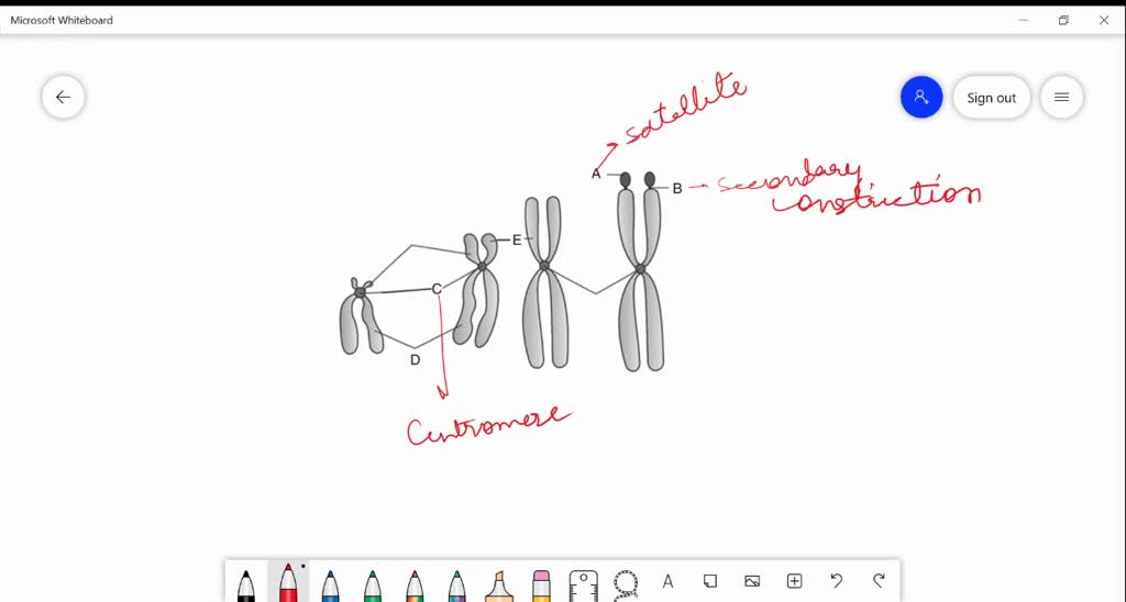SOLVED: Identify A, B, C, D, E, F and G given in the figure. (a) A ...