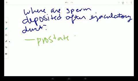 SOLVED:Watch this video (http://openstaxcollege.org/I/ spermpath) to explore the structures of ...